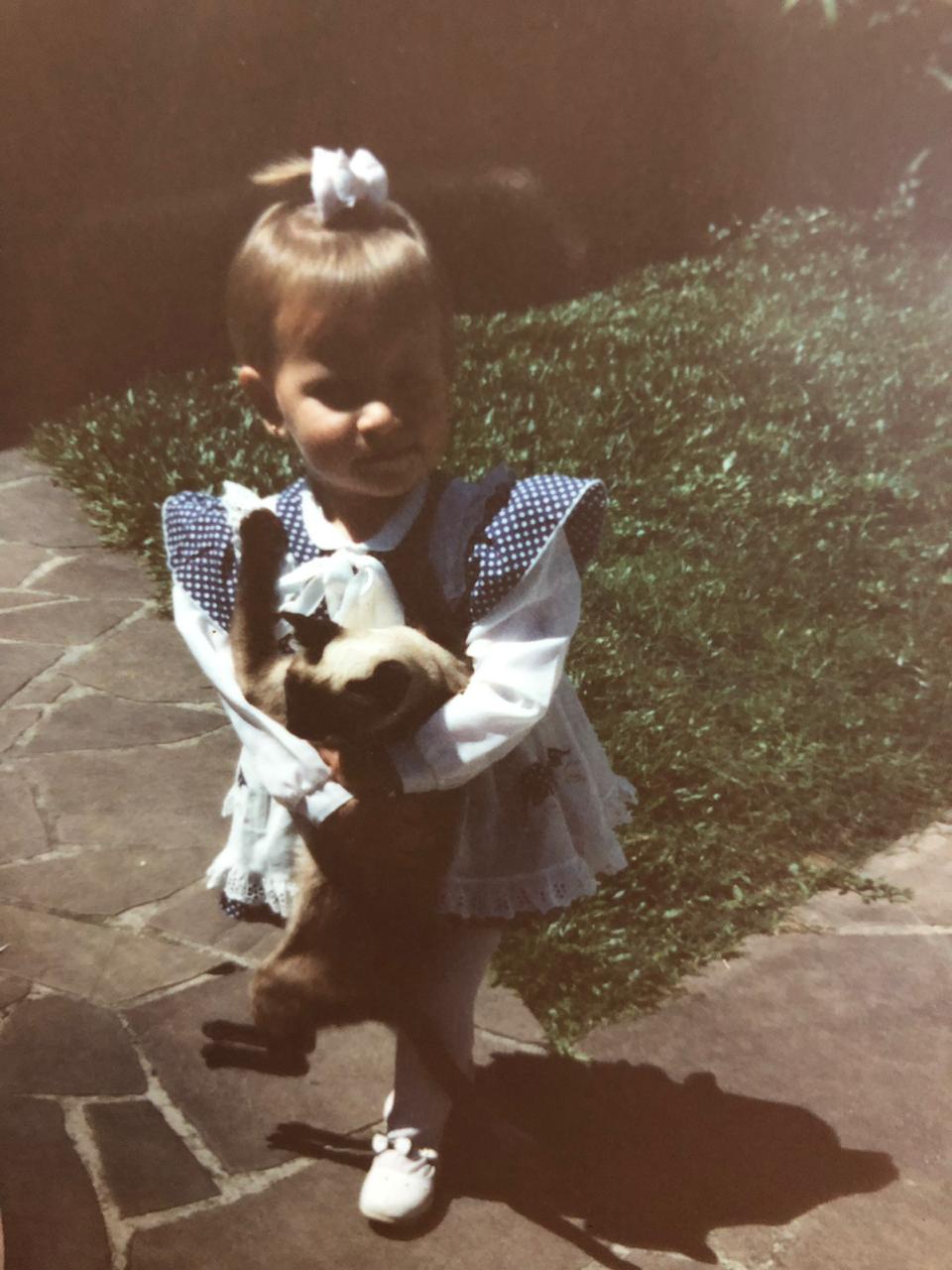 O Toquinho, o dog influencer mais famoso de Porto Alegre | Guia Pet ...