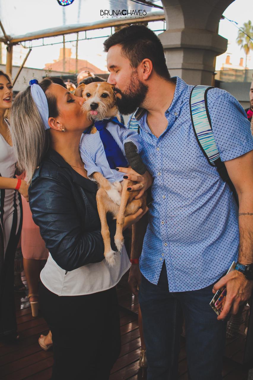 O Toquinho, o dog influencer mais famoso de Porto Alegre | Guia Pet ...